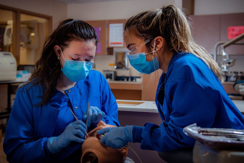 Making a Difference: Volunteering with Smiles Movement For Dental ...